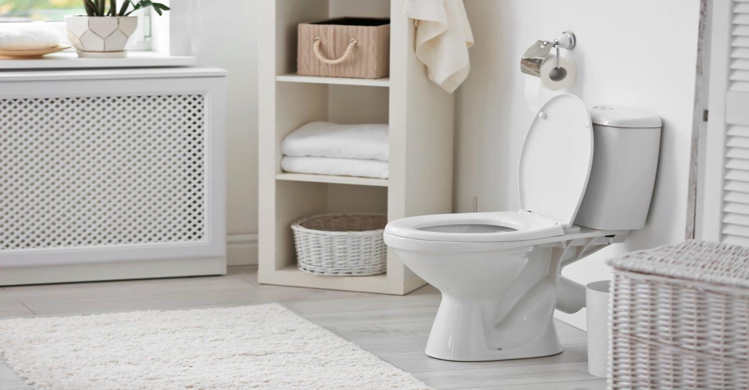 What Causes Rust Stains in Toilet
